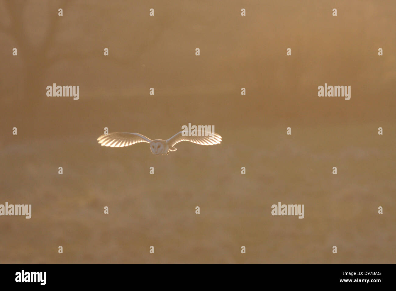 Set aside field hi-res stock photography and images - Alamy