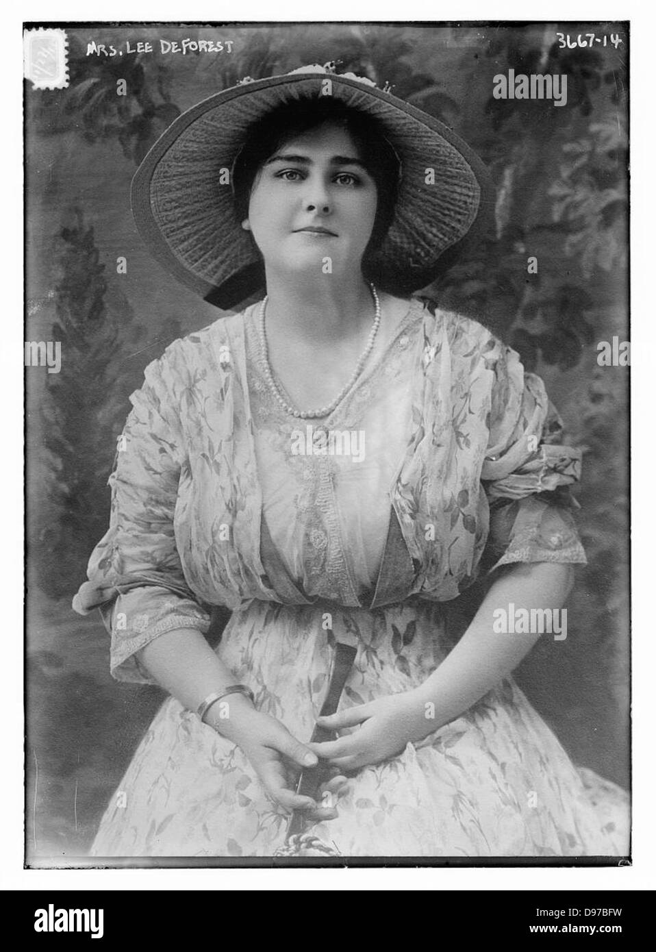 Old vintage photo forest Cut Out Stock Images & Pictures - Alamy