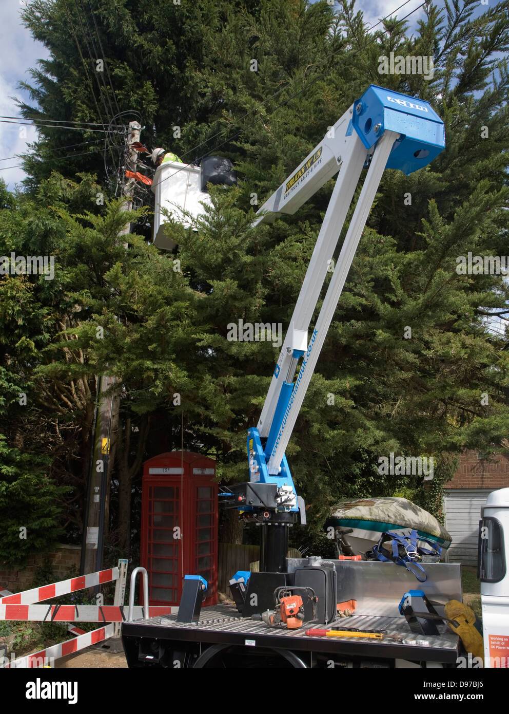 Man in platform of cherry picker crane working in tree-tops, Shottisham ...
