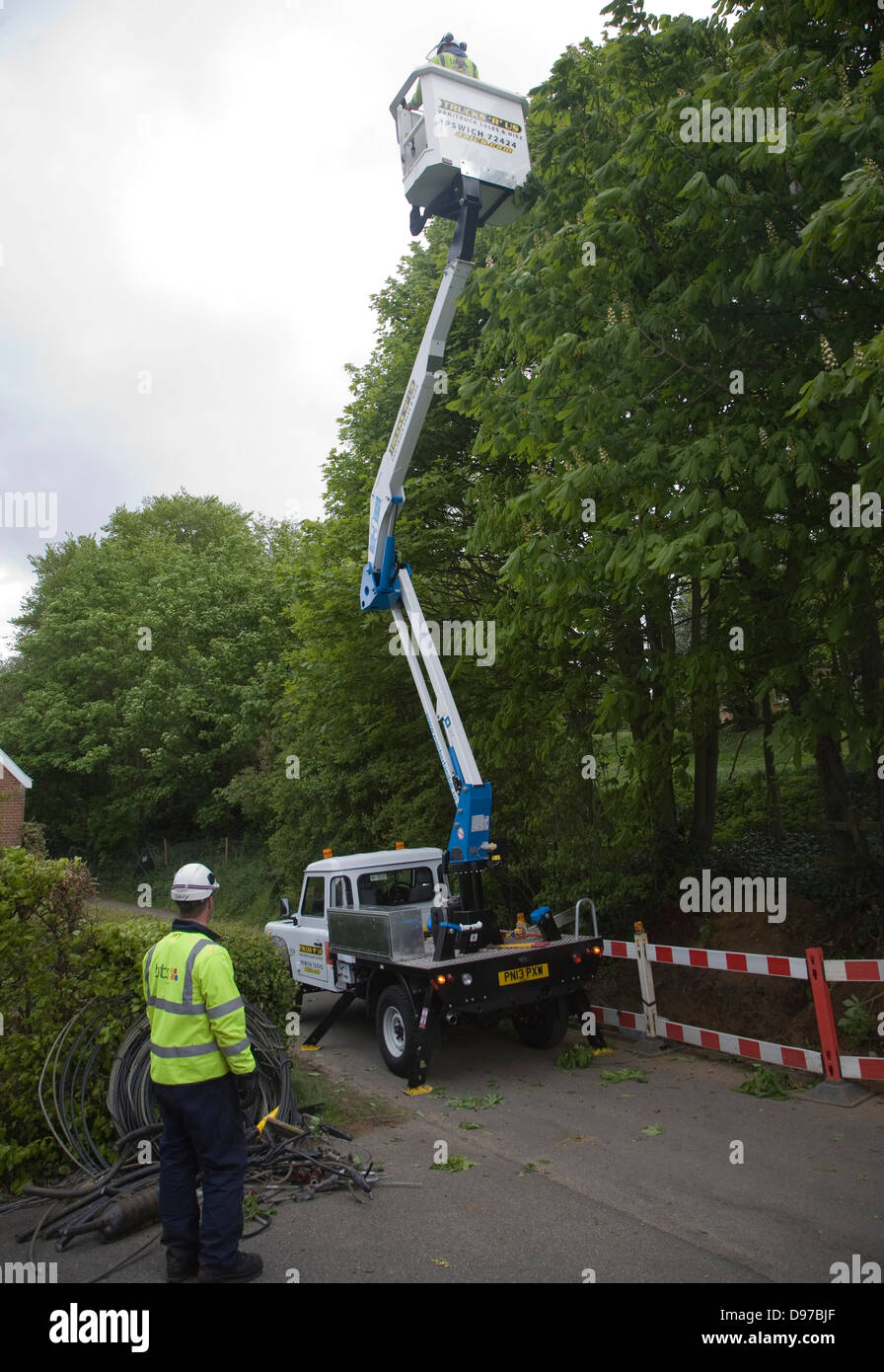 Working with trees hi-res stock photography and images - Alamy