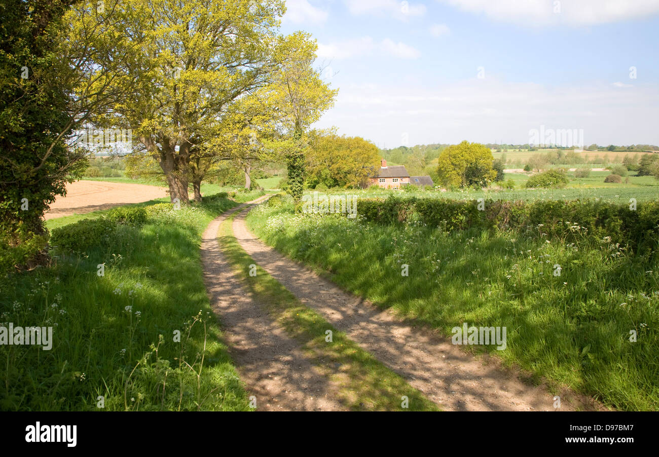 Spring seasonal landscape of quiet country lane trees and country ...