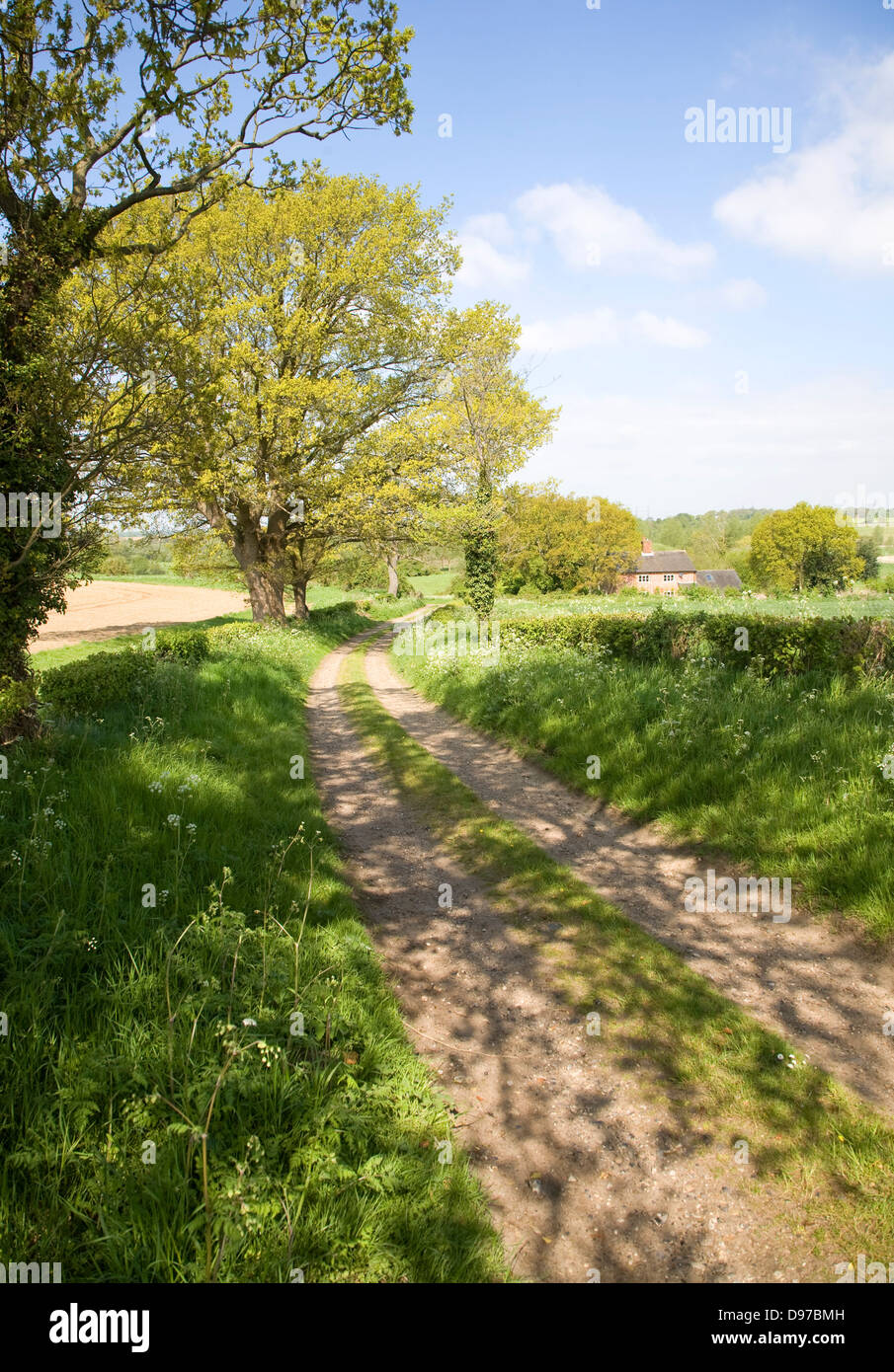 Quiet country lane or road hi-res stock photography and images - Alamy