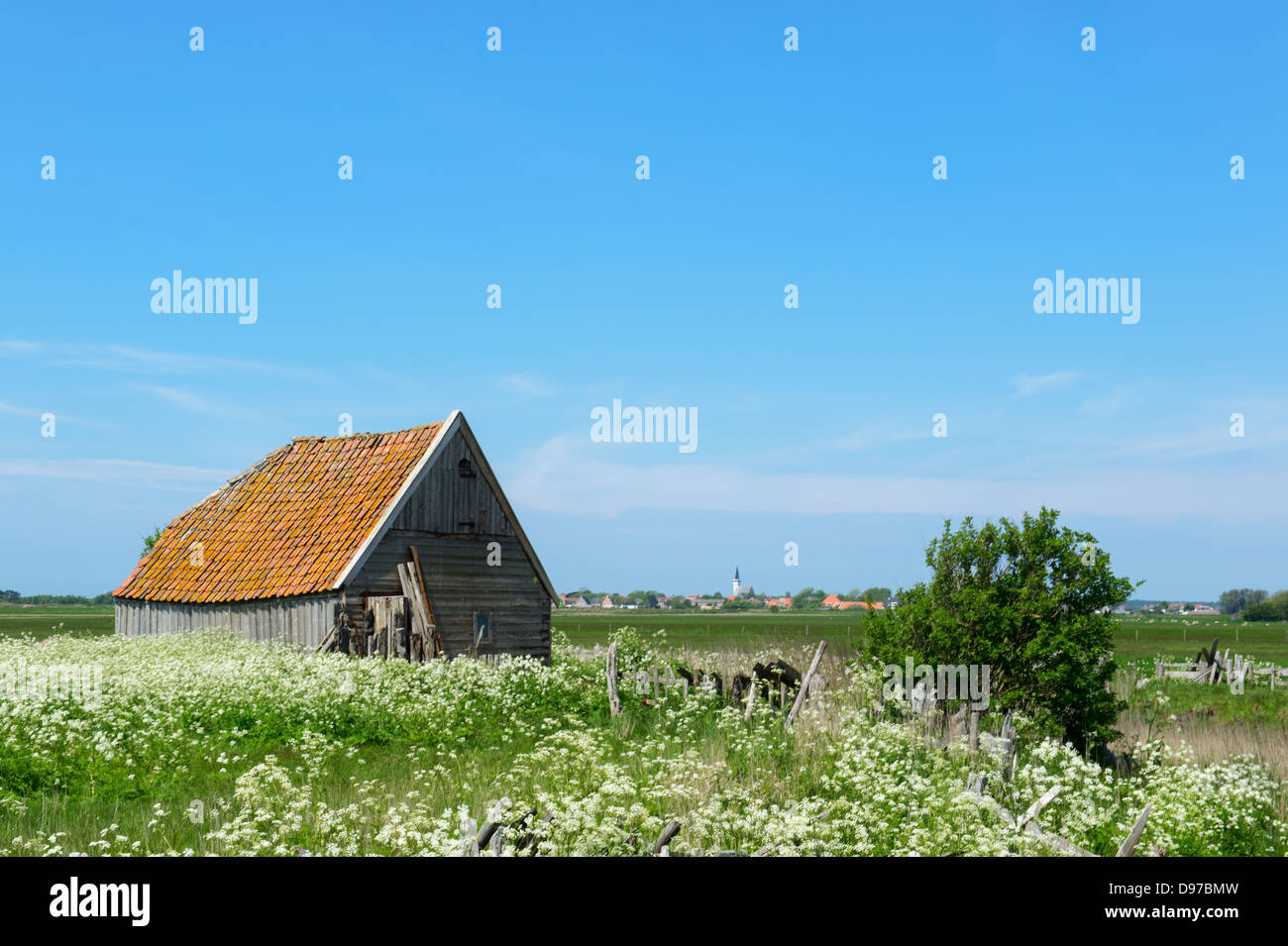 Dutch cow barn hi-res stock photography and images - Alamy