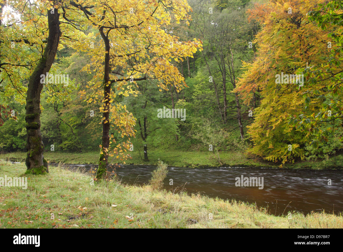 Lower wharfedale river hi-res stock photography and images - Alamy