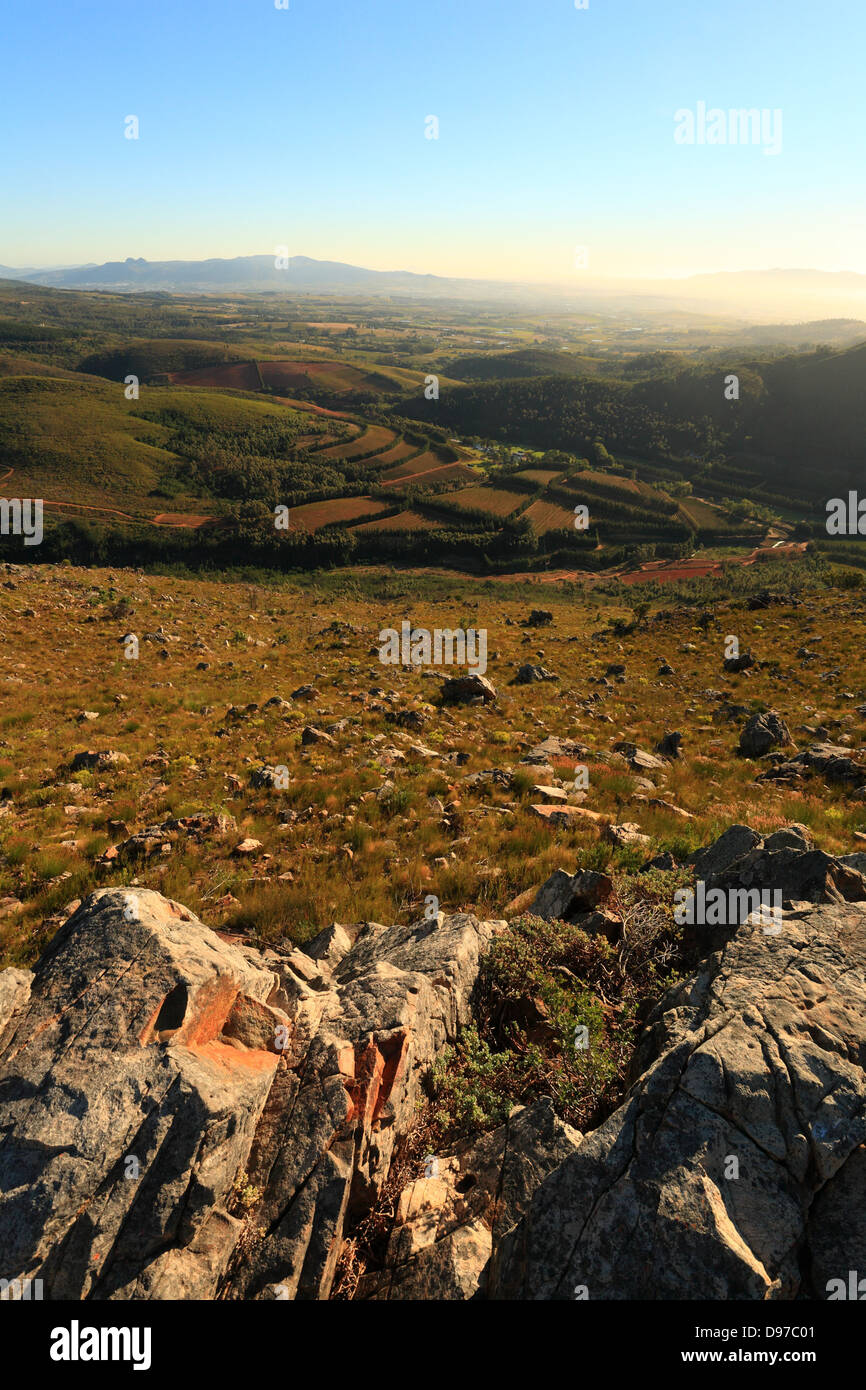 Aerial view of farmland in Wellington, Western Cape, South Africa ...