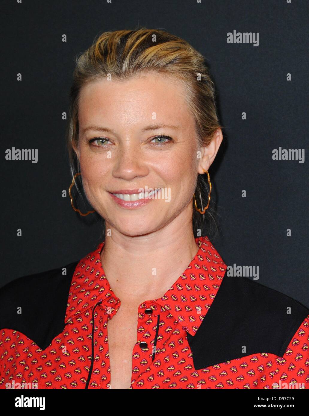 Los Angeles, CA. 12th June, 2013. Amy Smart at arrivals for This Is ...