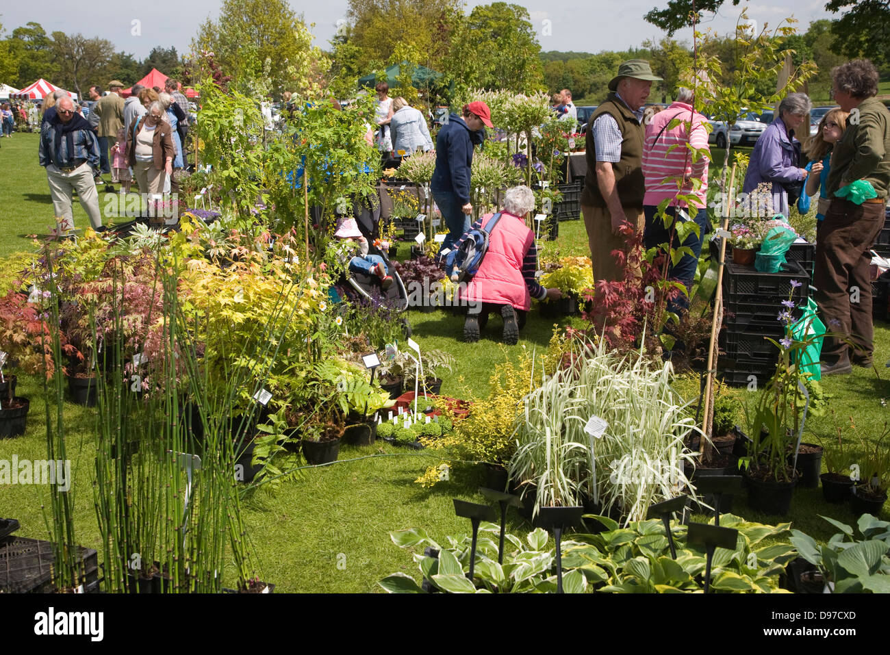 Helmingham hall garden hi-res stock photography and images - Alamy