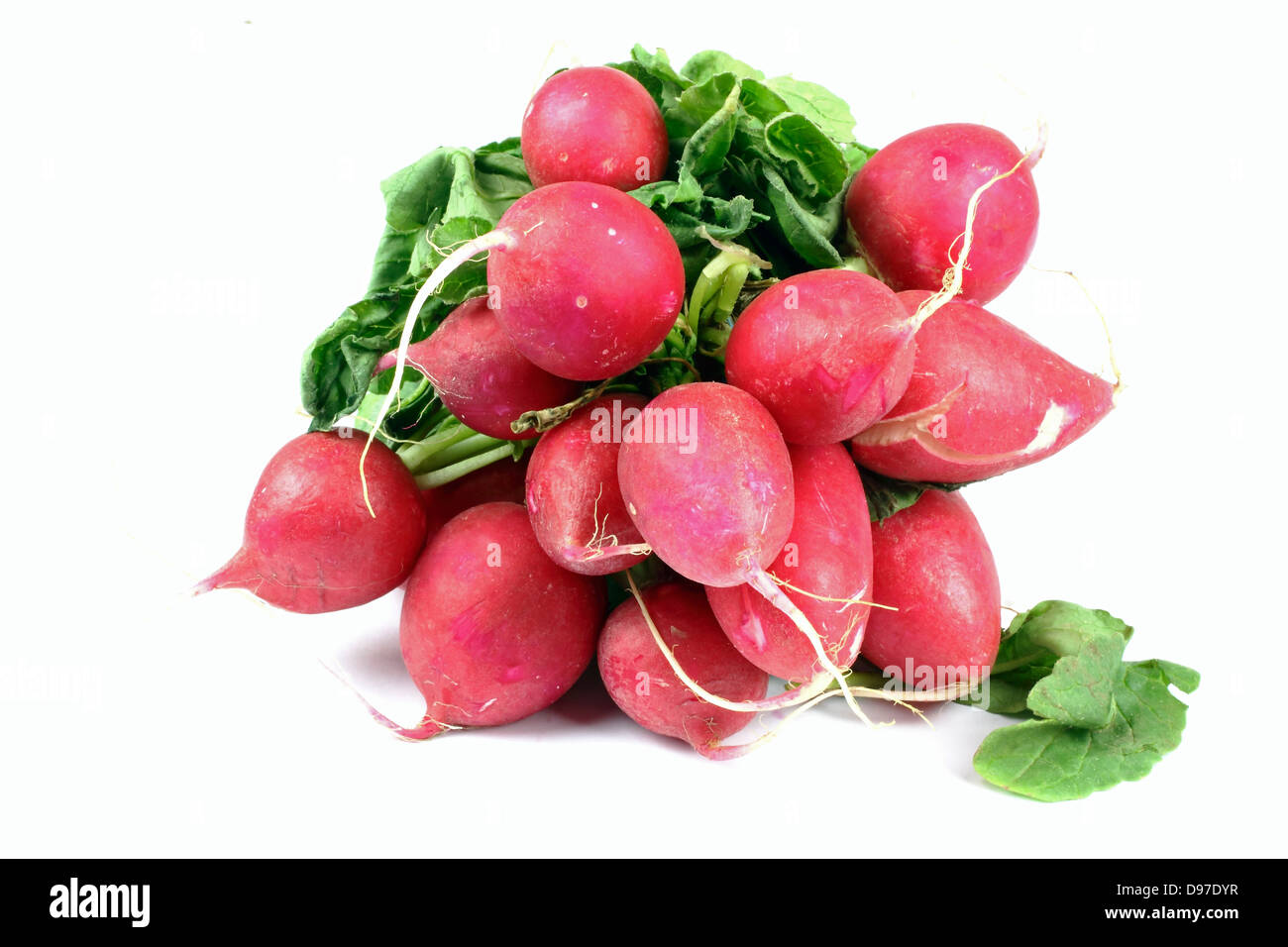 radish on the white background Stock Photo - Alamy