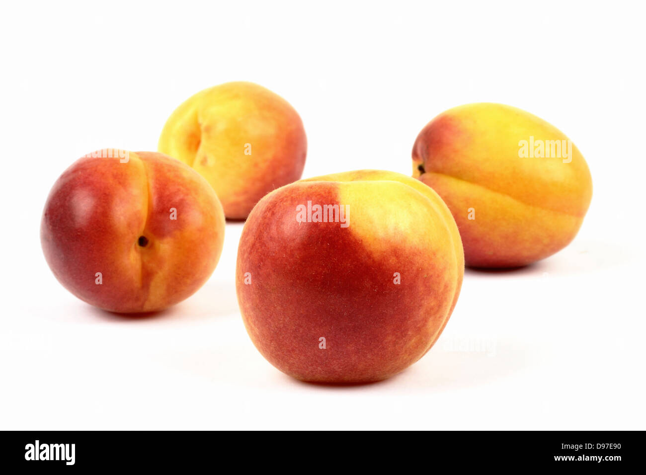 apricots on the white background Stock Photo - Alamy
