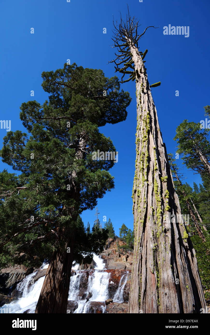 Glen Alpine Falls near Lake Tahoe California Stock Photo - Alamy