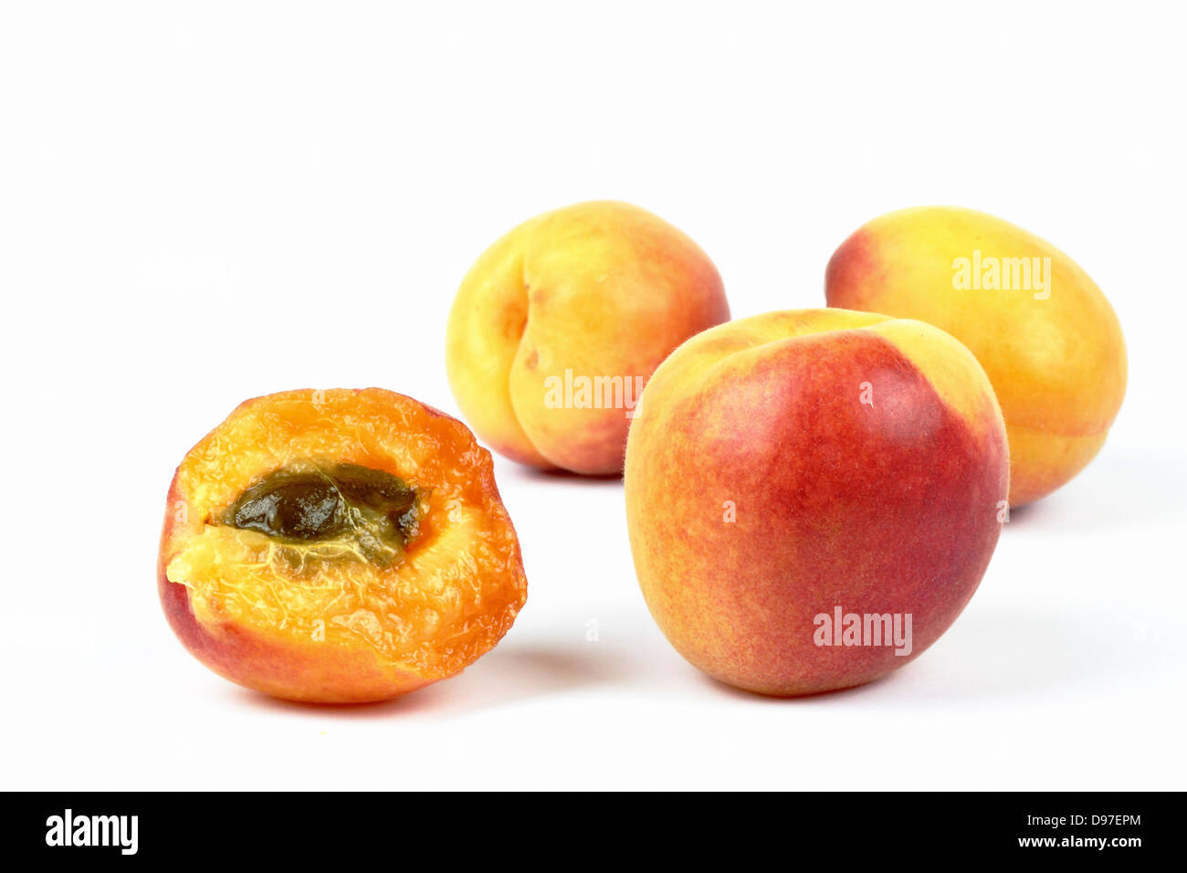 apricots on the white background Stock Photo - Alamy