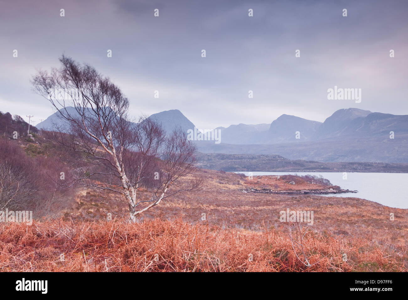 Edge of a loch hi-res stock photography and images - Alamy