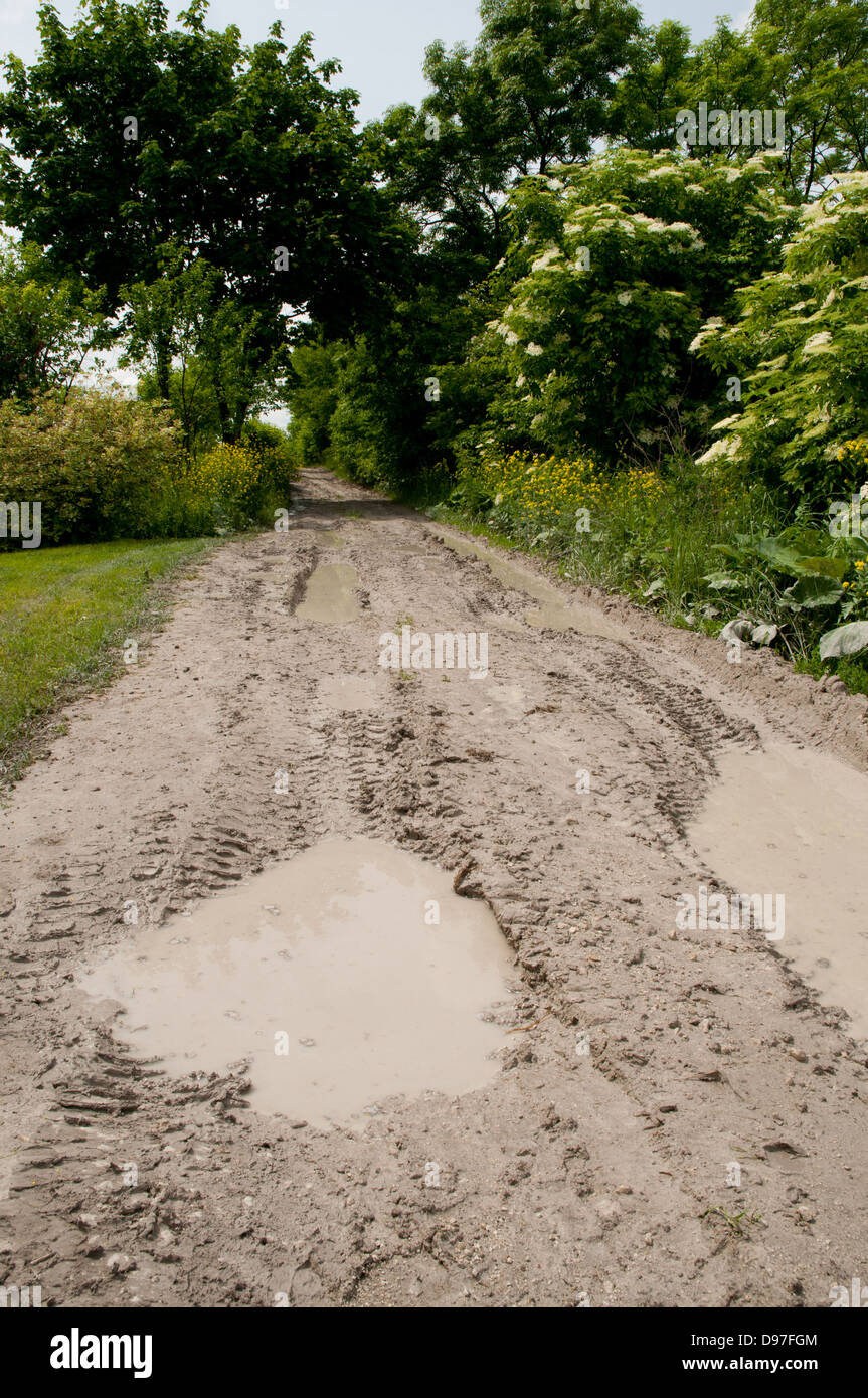 Potholes and puddles in mud at footpath Stock Photo - Alamy