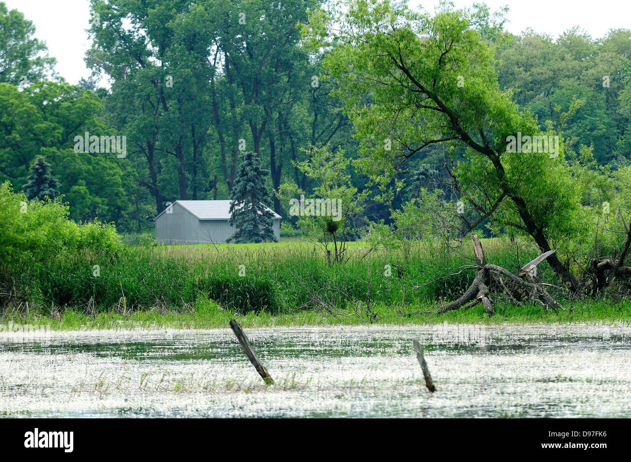 Rural farmland and woodlands Stock Photo - Alamy