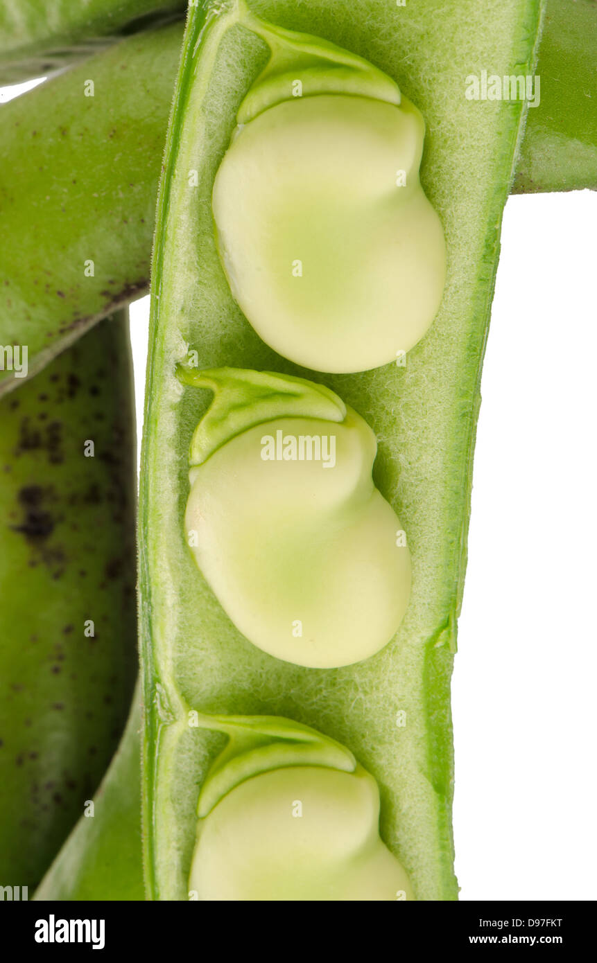 green beans pod on white background Stock Photo - Alamy