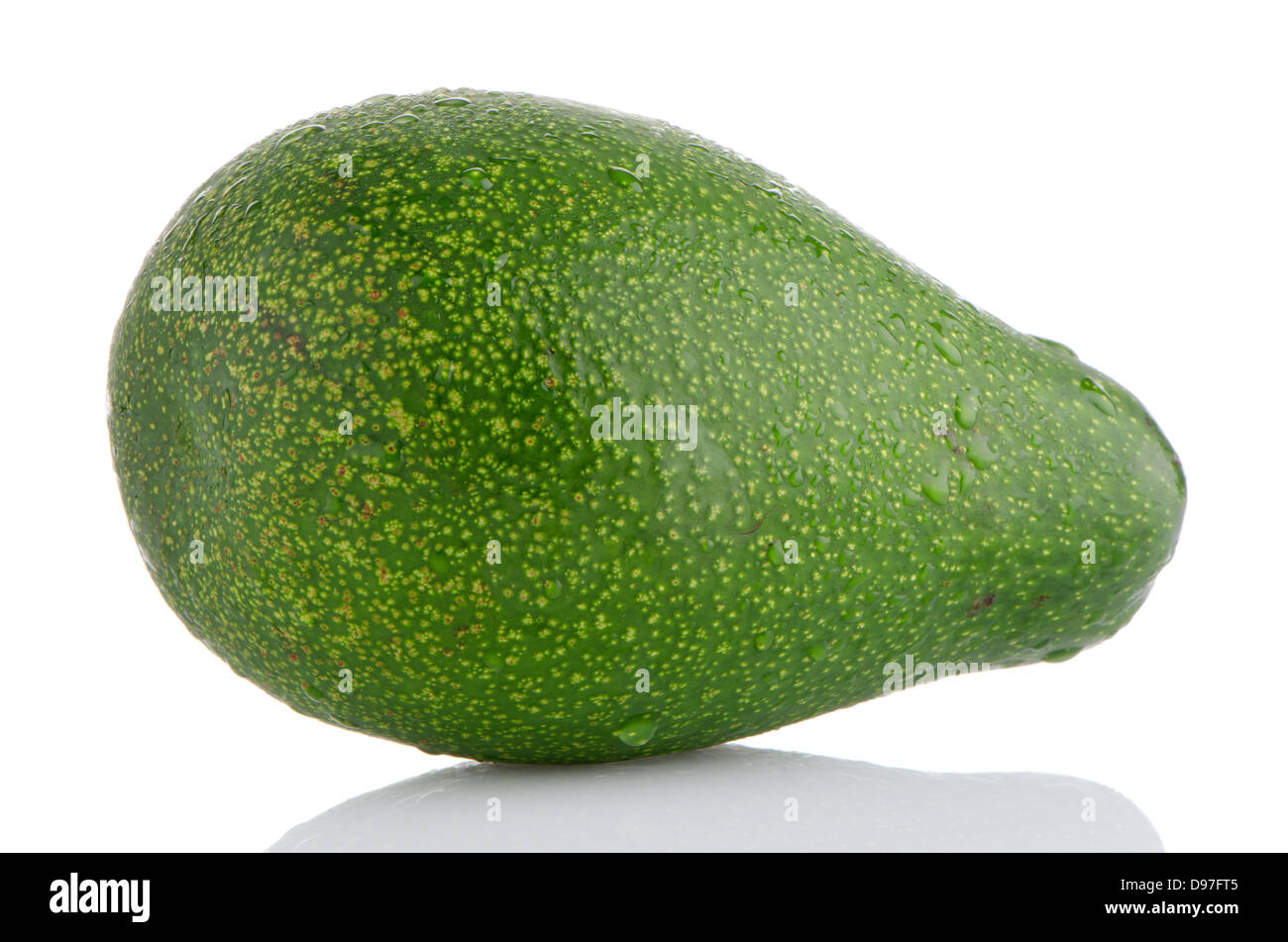 Avocado fruit on white reflective background Stock Photo - Alamy
