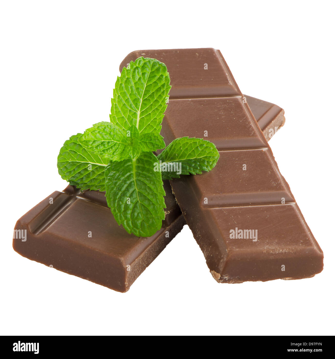 Closeup detail of chocolate parts and mint leaves on white background ...