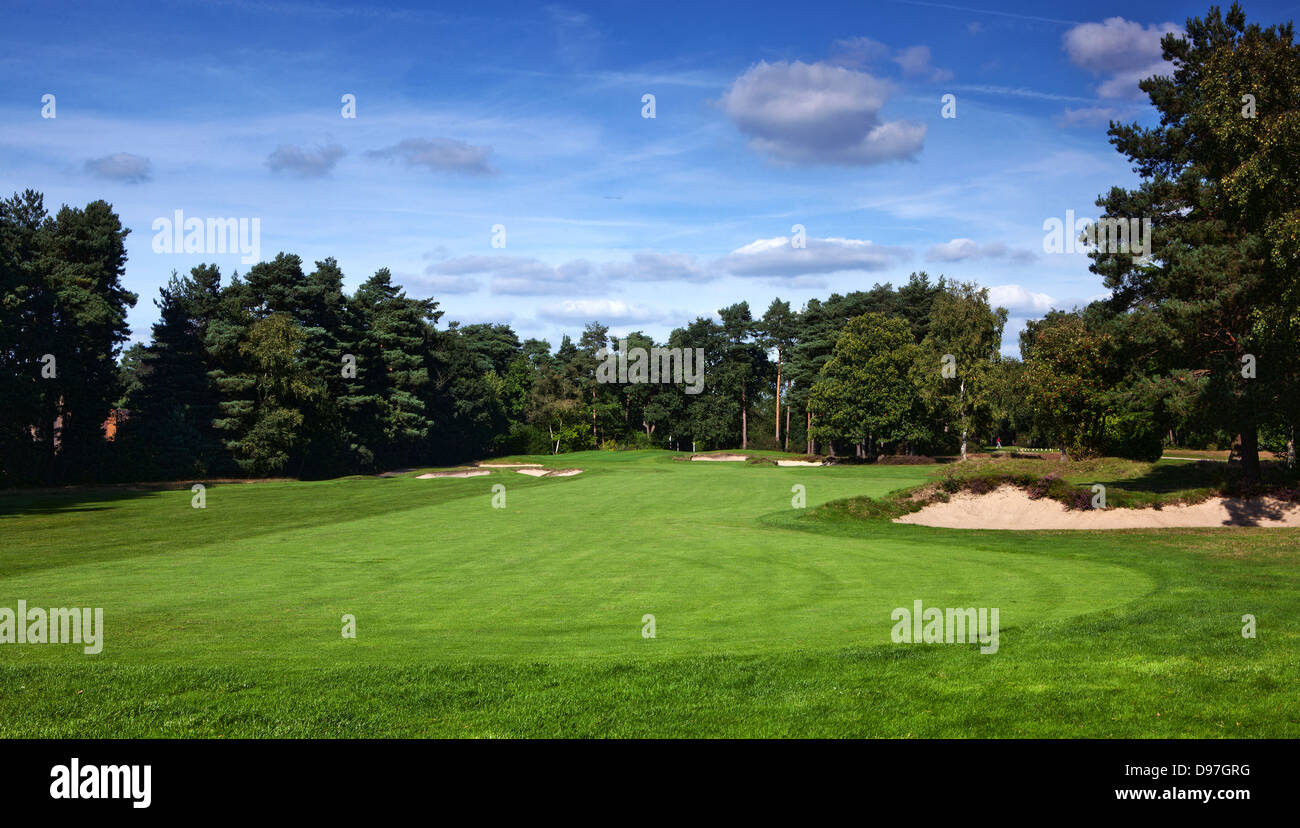 Golf Course, Camberley Heath, Camberley, Surrey, UK Stock Photo - Alamy