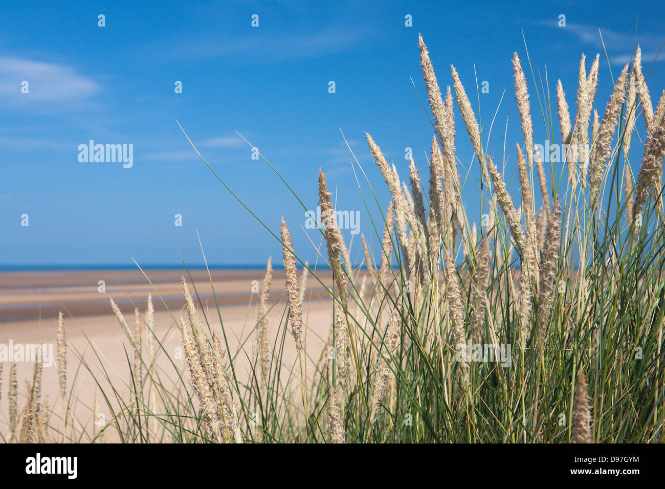 Thornham Beach Norfolk High Resolution Stock Photography and Images - Alamy
