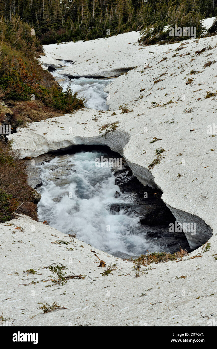 Avalanche aftermath and snowmelt near Logan Pass Glacier National Park ...
