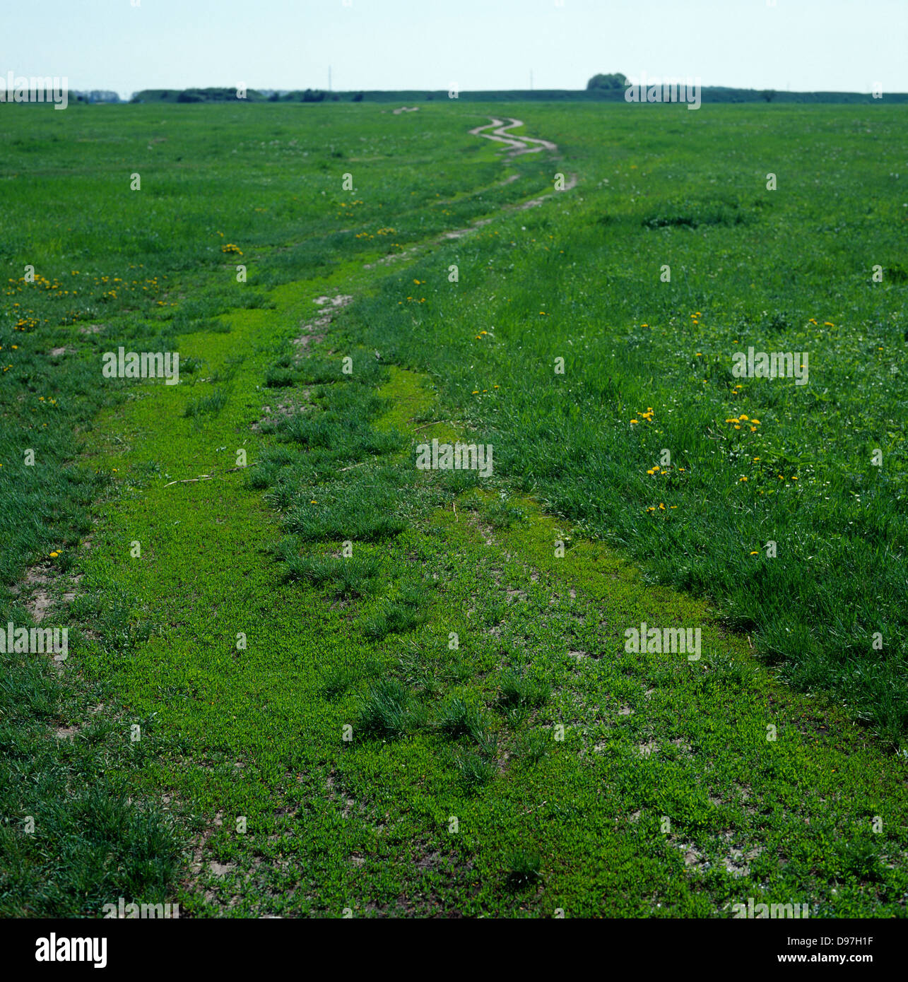 An old disappearing road Stock Photo - Alamy