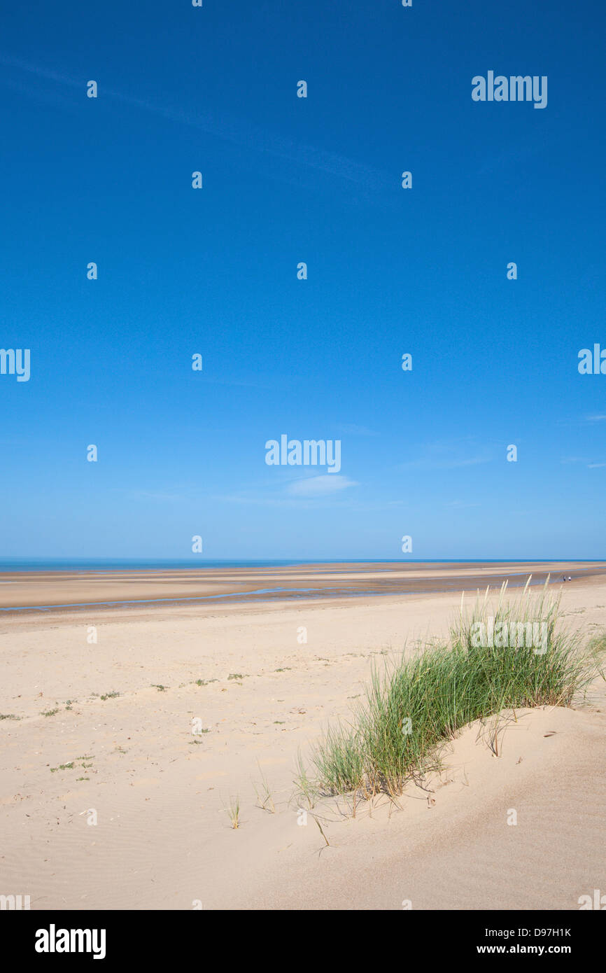 GB; ENGLAND; THORNHAM; BEACH; SAND DUNE; SUMMER; NORFOLK Stock Photo ...