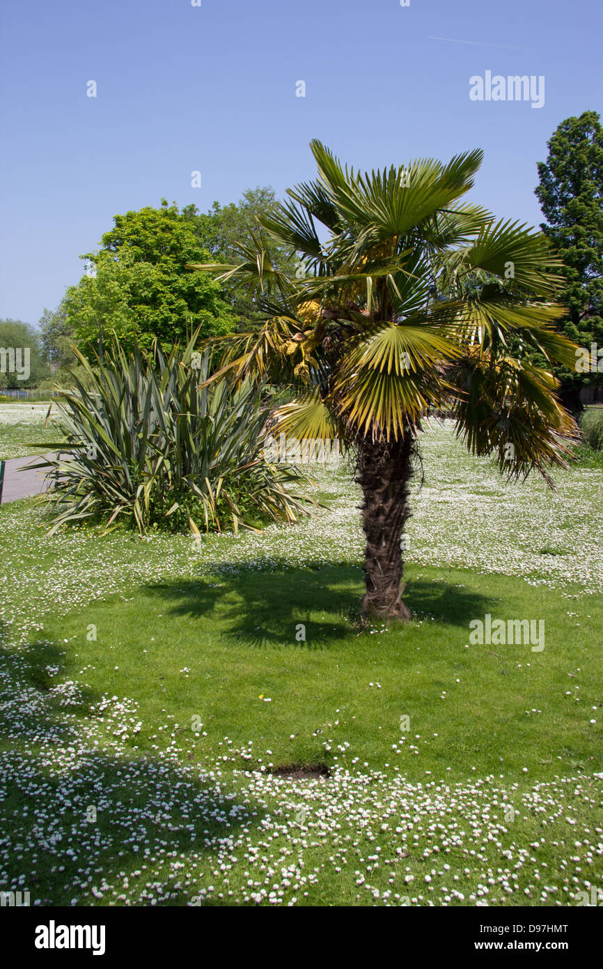 River Wandle Park High Resolution Stock Photography and Images - Alamy