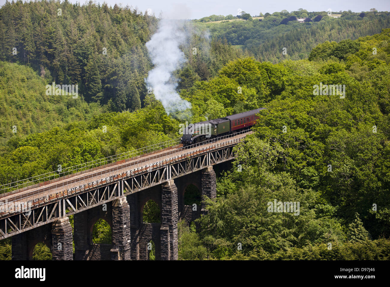 The Royal Duchy Steaming Over St Pinnock Viaduct in Cornwall Stock ...