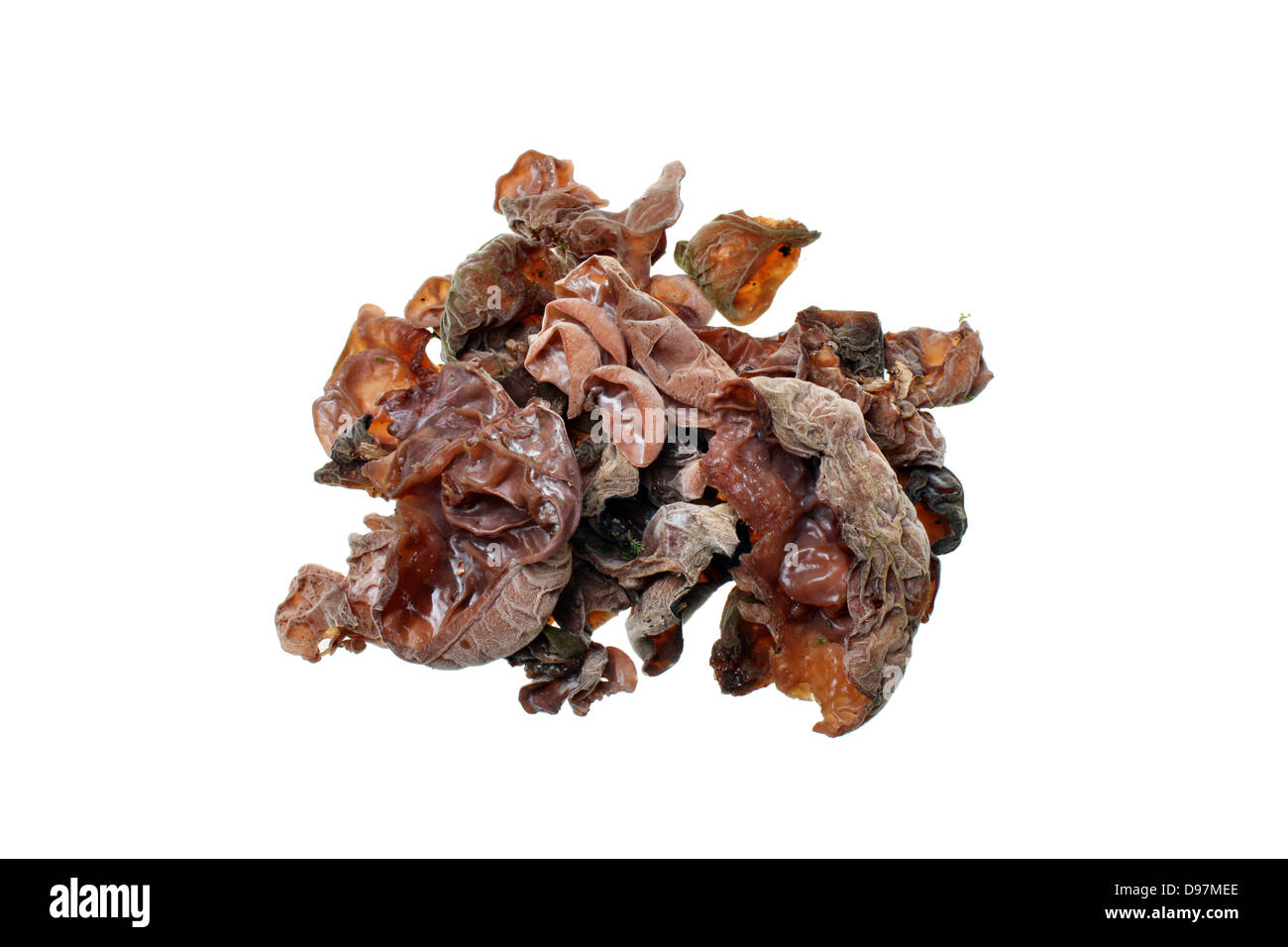 Ear fungus treatment hi-res stock photography and images - Alamy