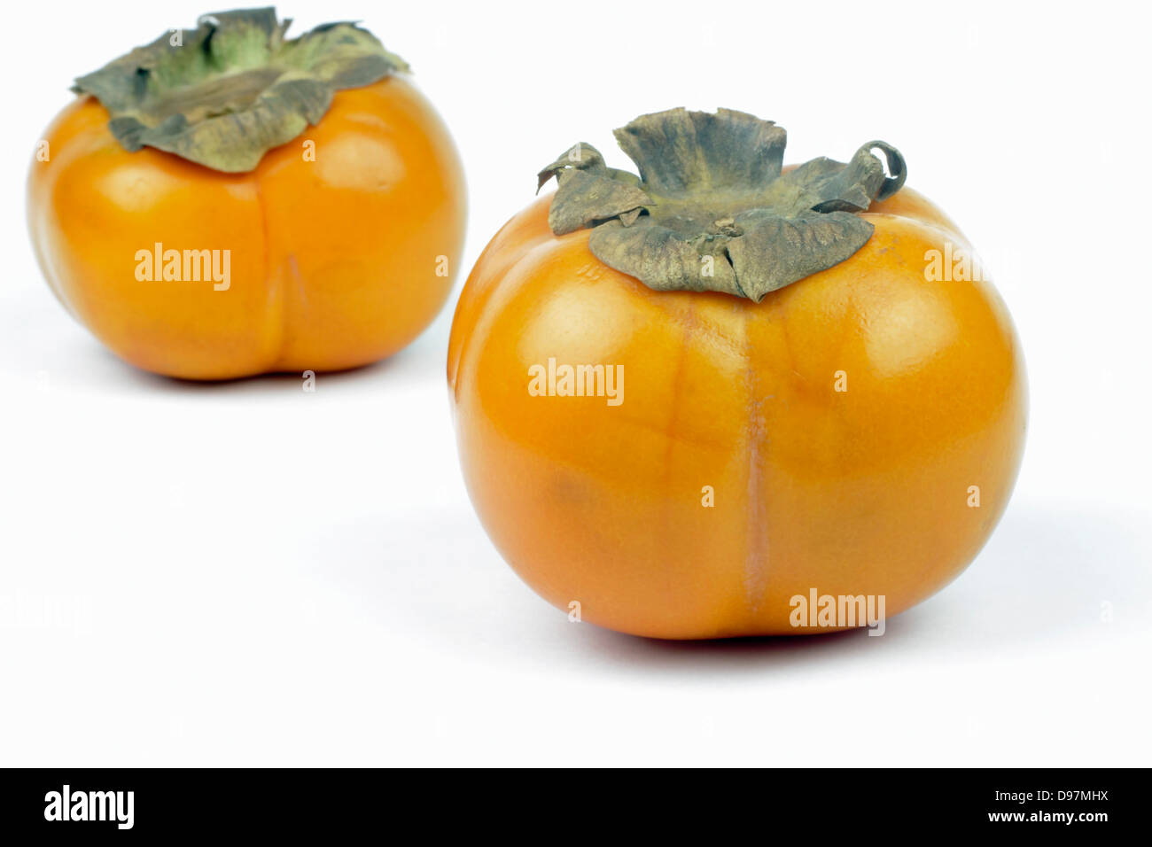 Sharon white Cut Out Stock Images & Pictures - Alamy