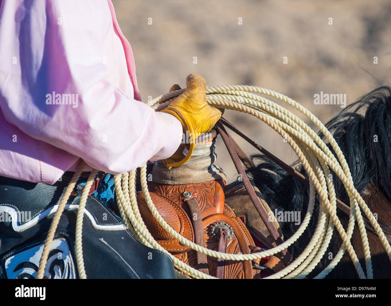 A cowboy waiting to compete in a rodeo Stock Photo - Alamy