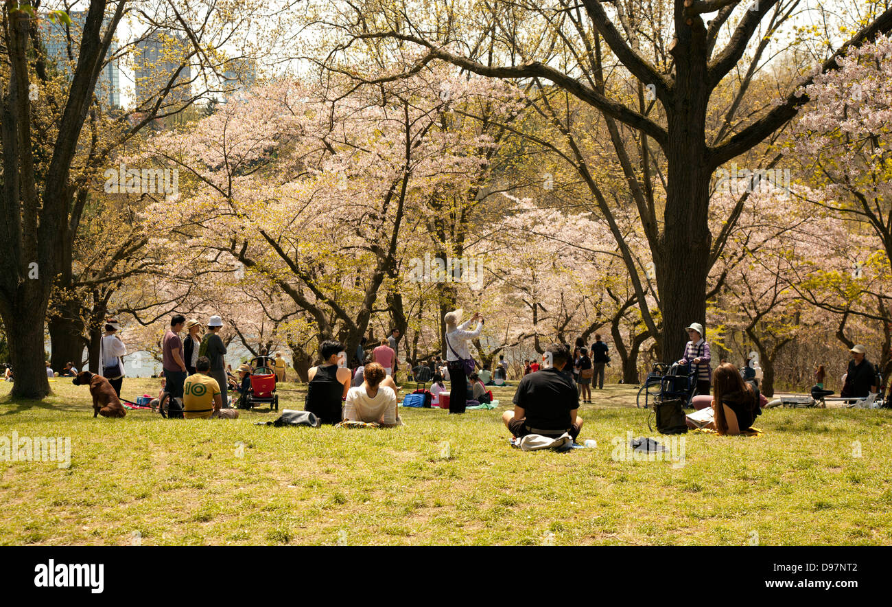 High Park Toronto Stock Photos & High Park Toronto Stock Images - Alamy