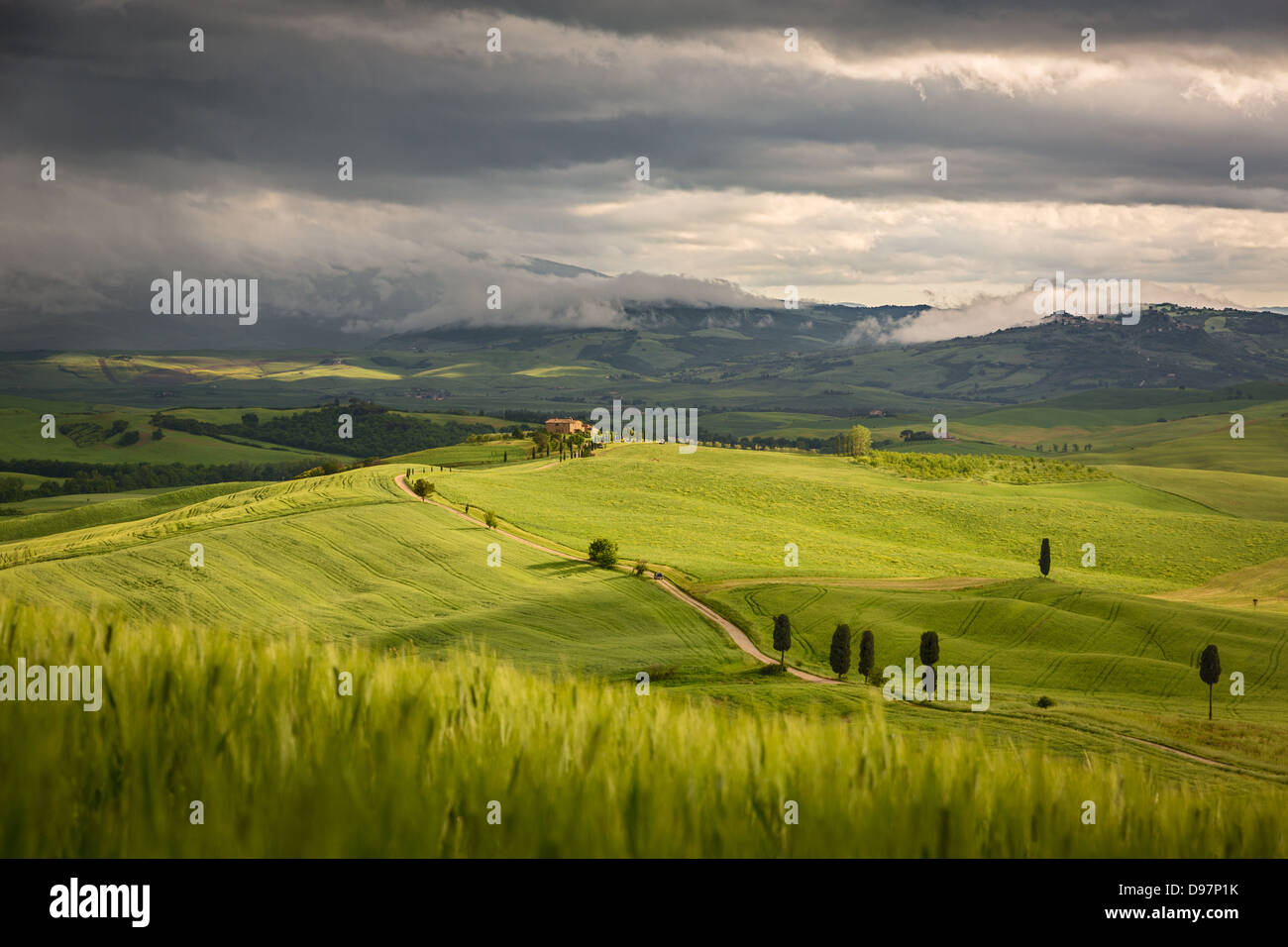 Tuscany landscape with farm near Pienza, Italy Stock Photo - Alamy