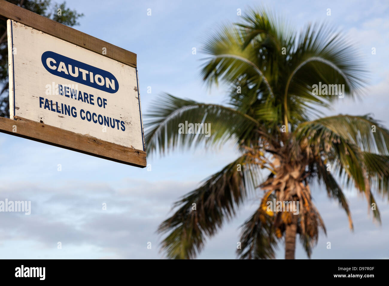 Beware of falling coconuts sign hi-res stock photography and images - Alamy