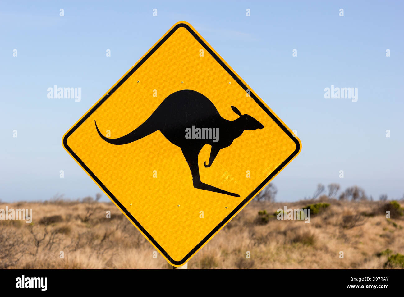 Kangaroo warning sign victoria hi-res stock photography and images - Alamy
