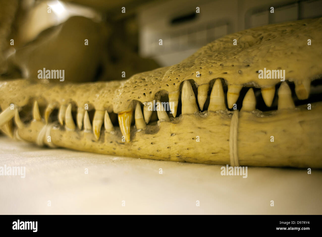 New England history museum keeps many artifacts on shelves in the ...