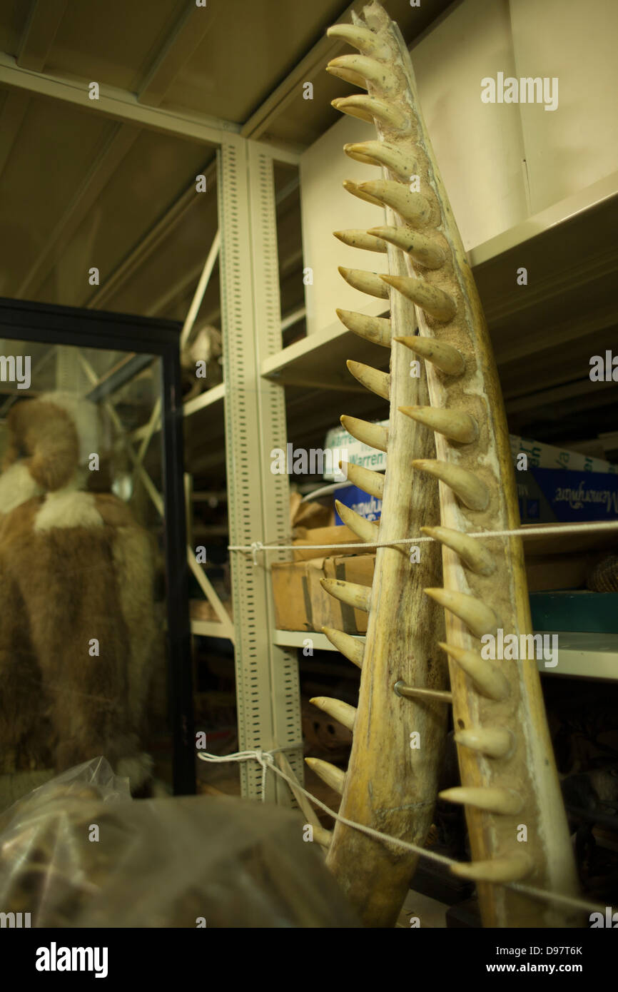 New England history museum keeps many artifacts on shelves in the ...