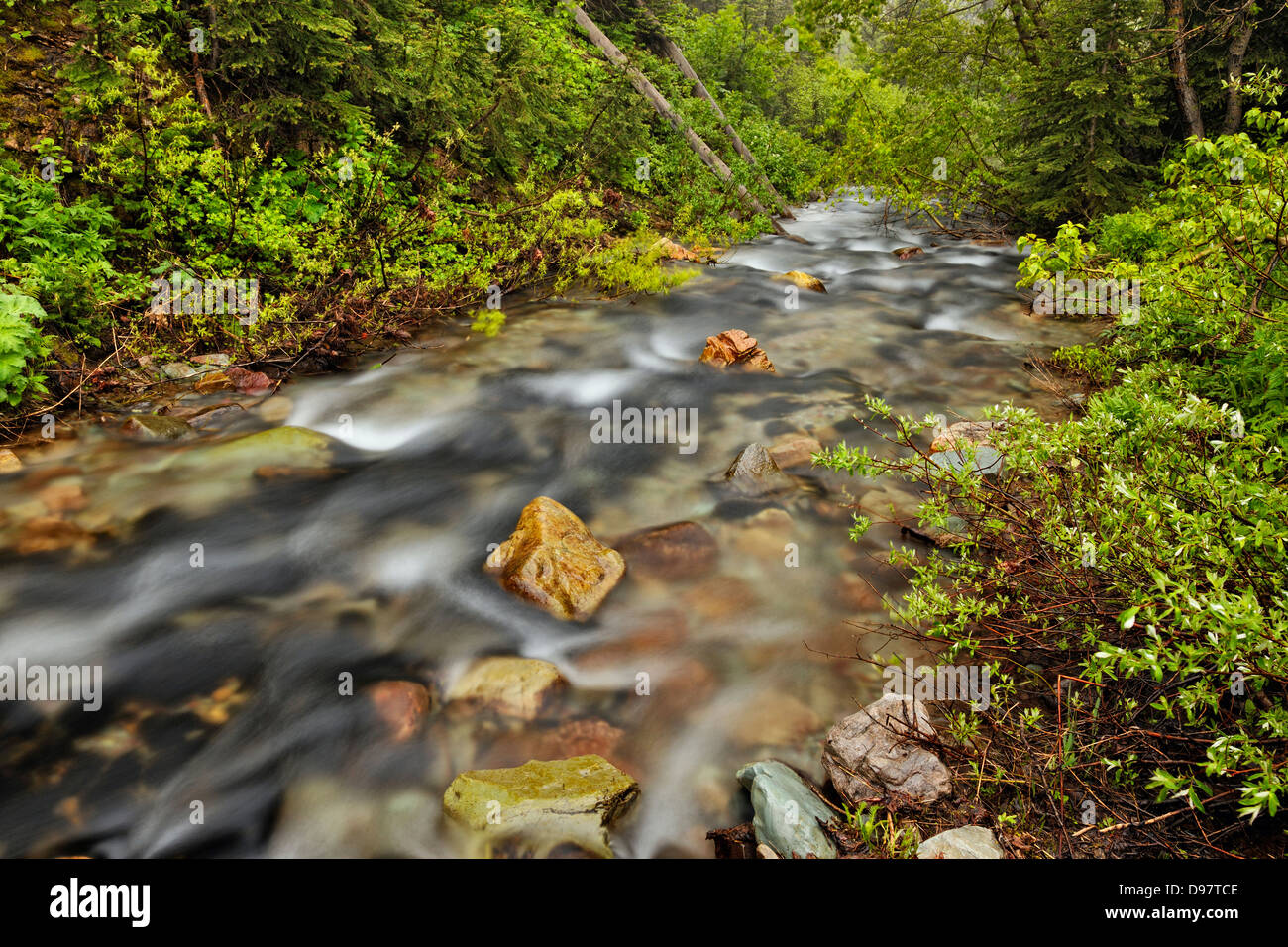Appistoki Creek Glacier National Park Montana USA Stock Photo - Alamy