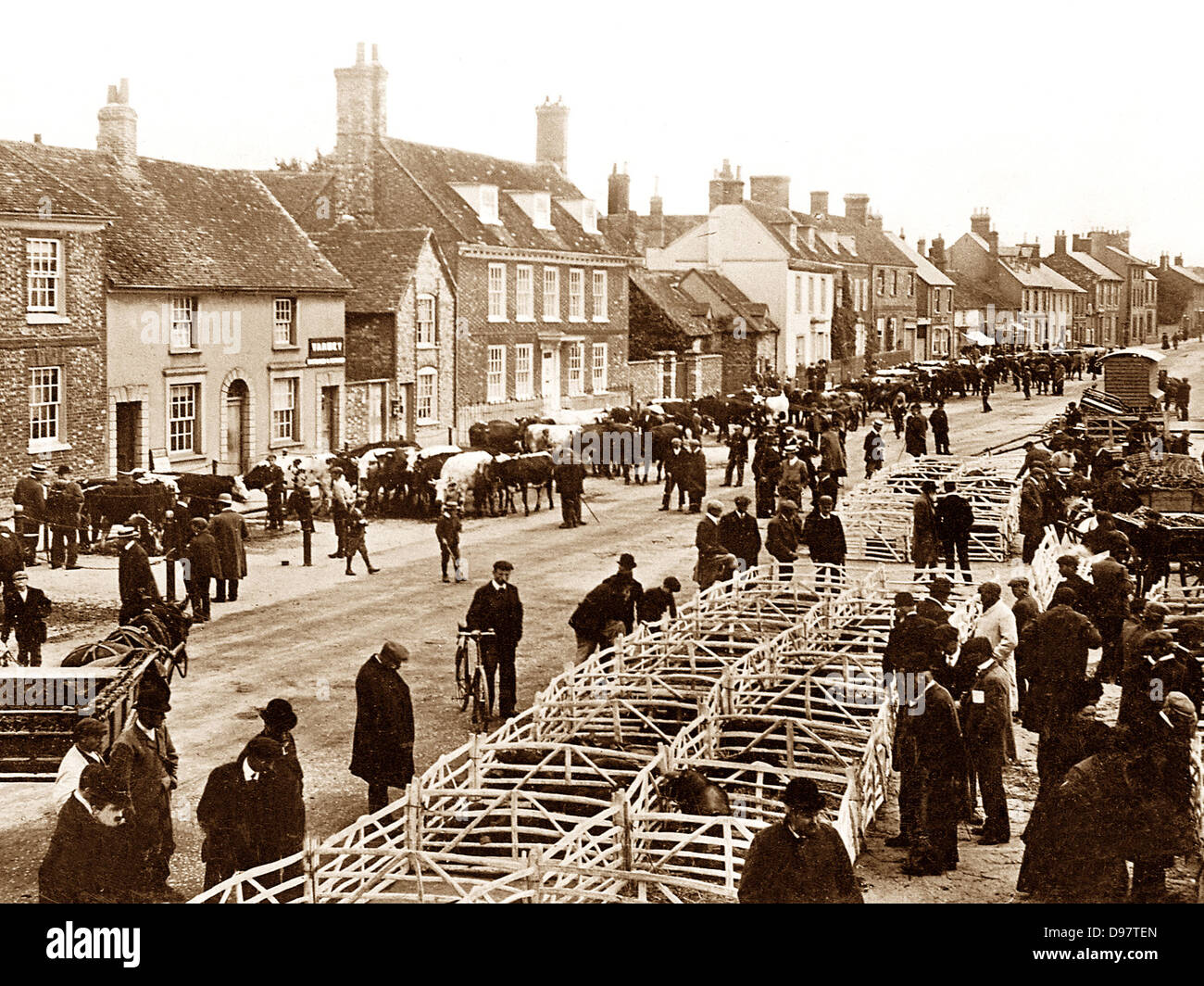 Thame Cattle Market early 1900s Stock Photo - Alamy