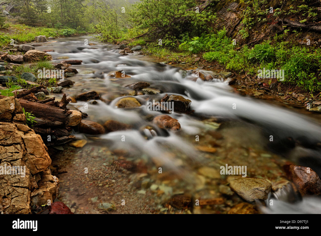 Appistoki Creek Glacier National Park Montana USA Stock Photo - Alamy