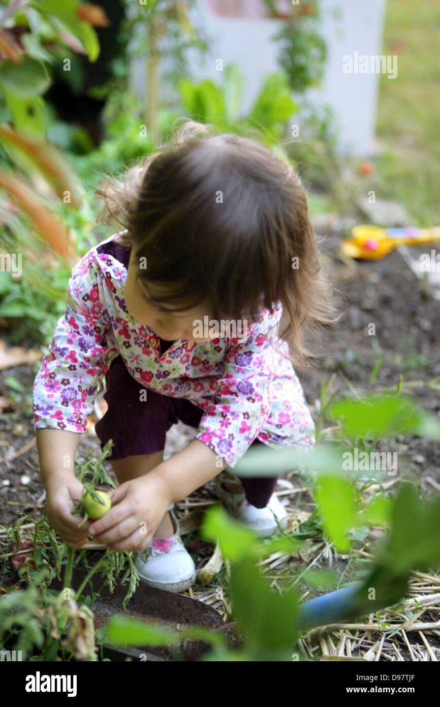 A young gardener Stock Photo - Alamy
