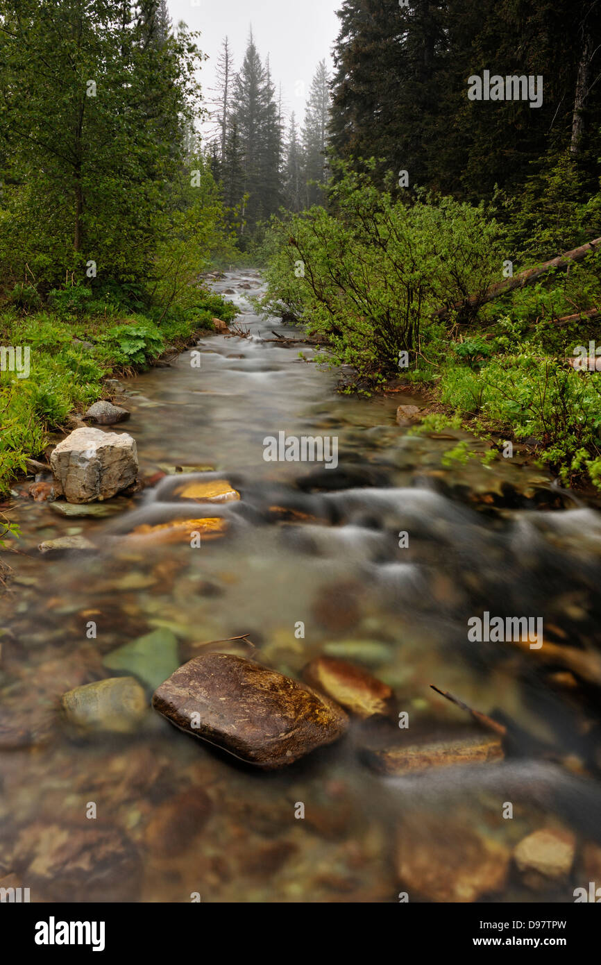 Appistoki Creek Glacier National Park Montana USA Stock Photo - Alamy