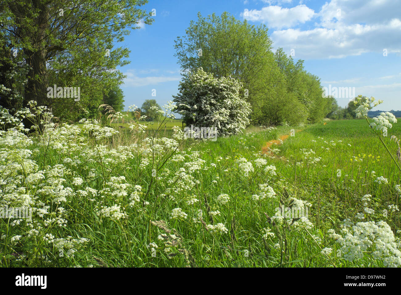 Kent scenery hi-res stock photography and images - Alamy