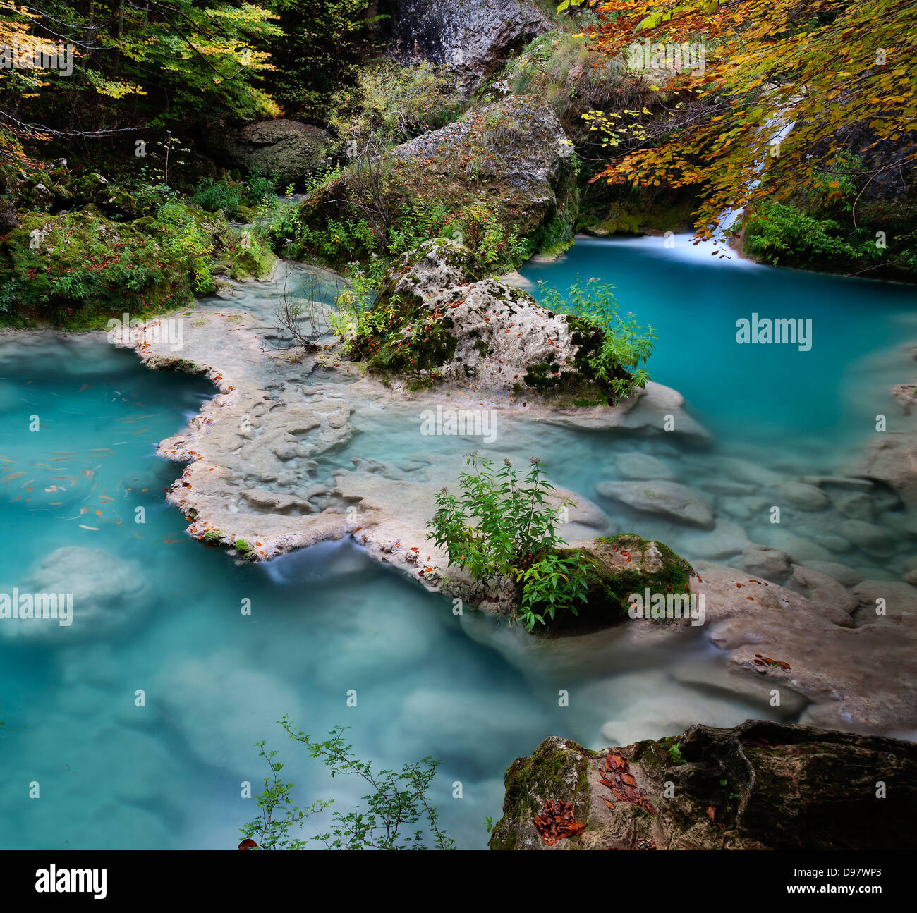 Beautiful autumn landscape in Navarra.Spain Stock Photo - Alamy