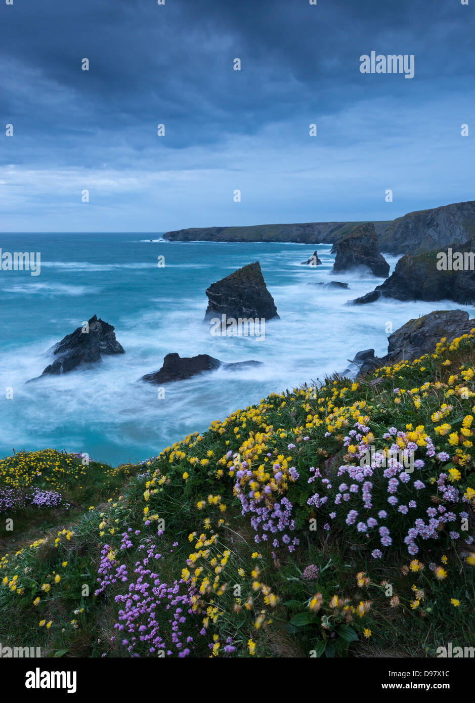 Spring wildflowers hi-res stock photography and images - Alamy