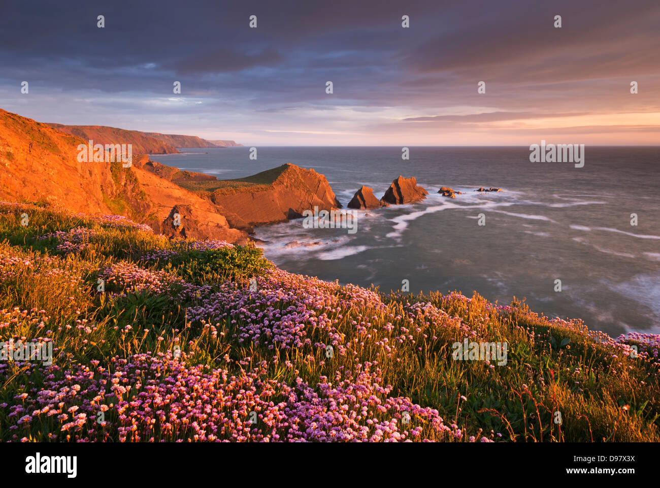 All about spring hi-res stock photography and images - Alamy