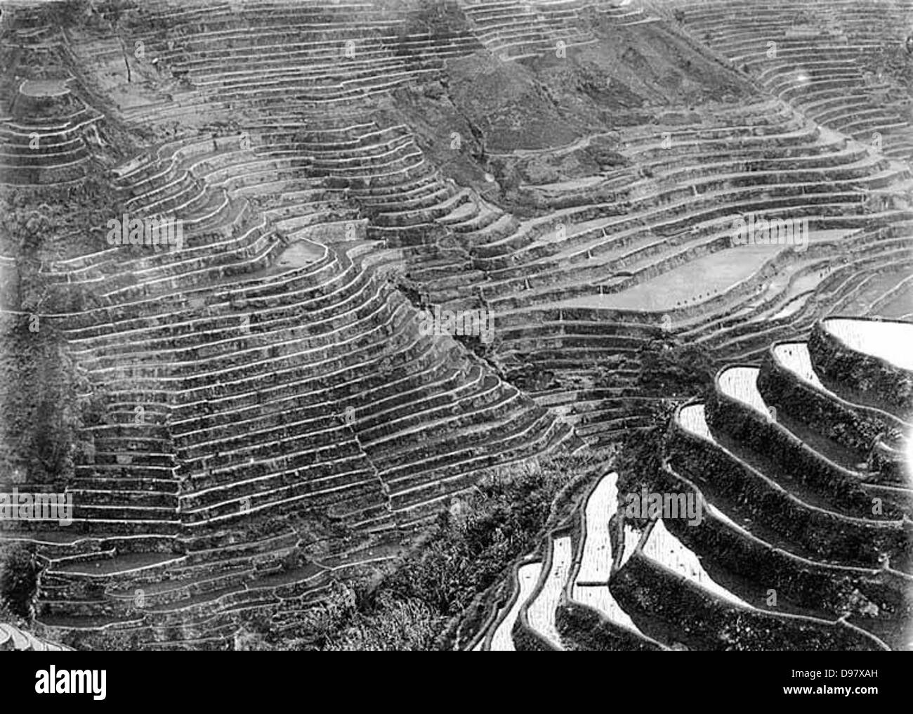 Philippines rice farming Black and White Stock Photos & Images - Alamy
