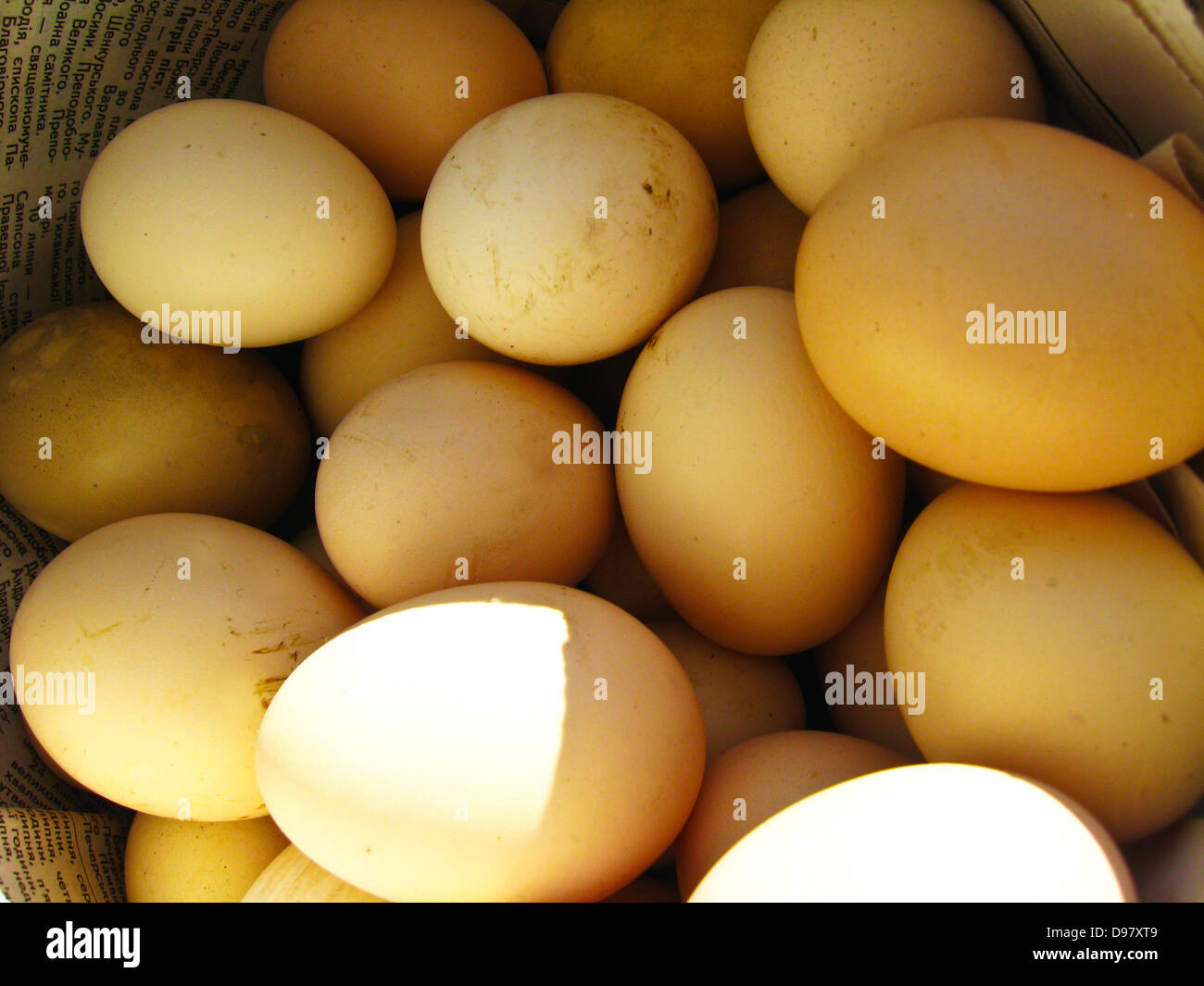 the image of a lot of eggs of the hen Stock Photo - Alamy