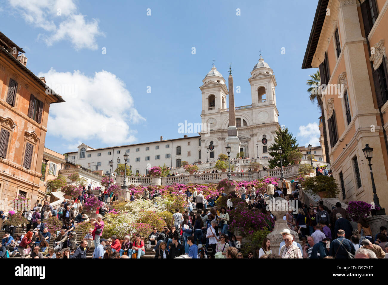 Pots of azaleas in blossom, Spanish Steps, Scalinata della Trinita dei ...