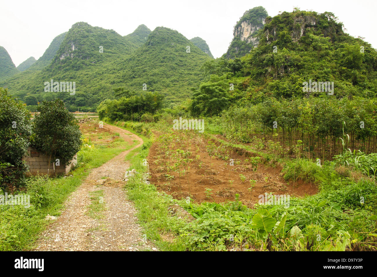 South china limestone landscape Stock Photo - Alamy